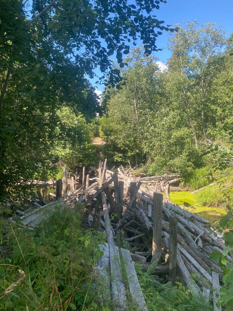 Pınar, çay Spring, stream, Karelya, foto