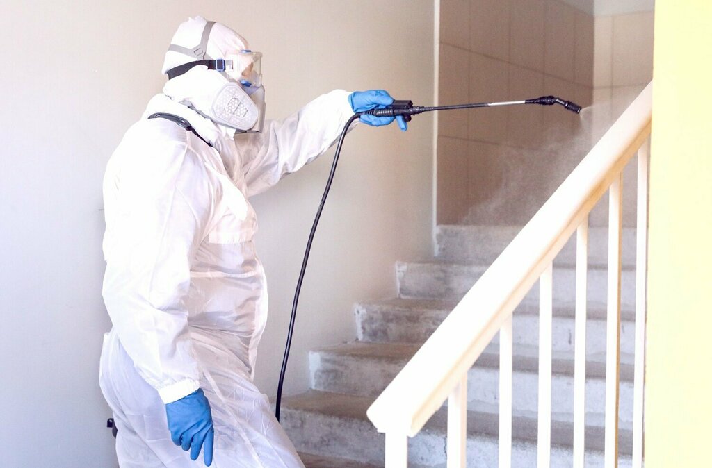 Haşere ilaçlama firmaları Dez_klining Pro, Ramenskoye, foto