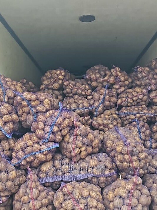 Manavlar Мандарин, Krasnodarski krayı, foto