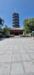 Храм Будд трех райских миров (Heilongjiang Province, Sub-provincial city Harbin, Nangang District), pagoda  Harbin'den