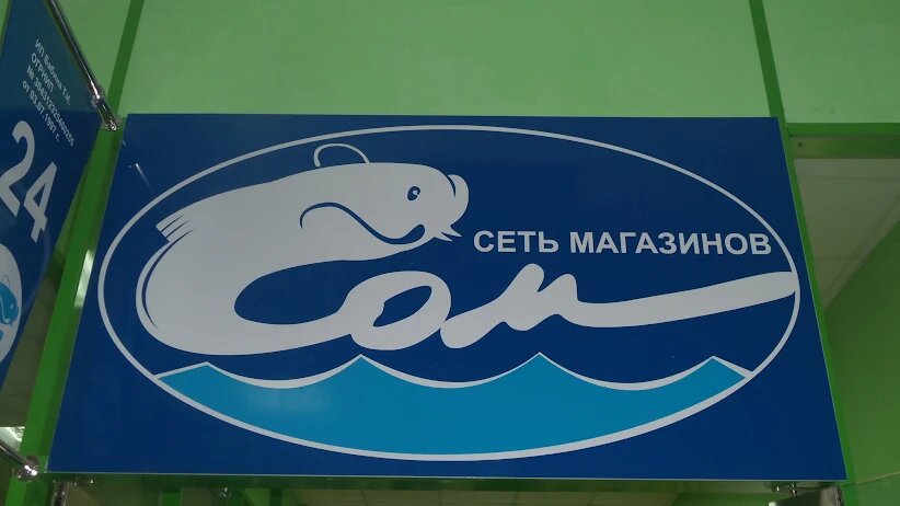 Balık ve deniz ürünleri Сом, Belgorod, foto