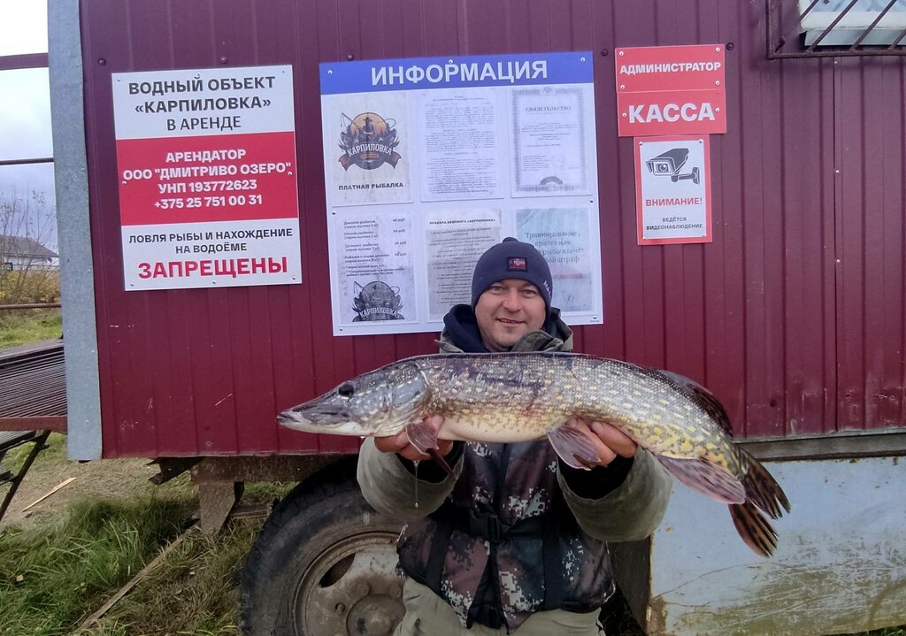 Balık çiftçiliği ve toptancıları Кемпинг Карпиловка, Minskaya oblastı, foto