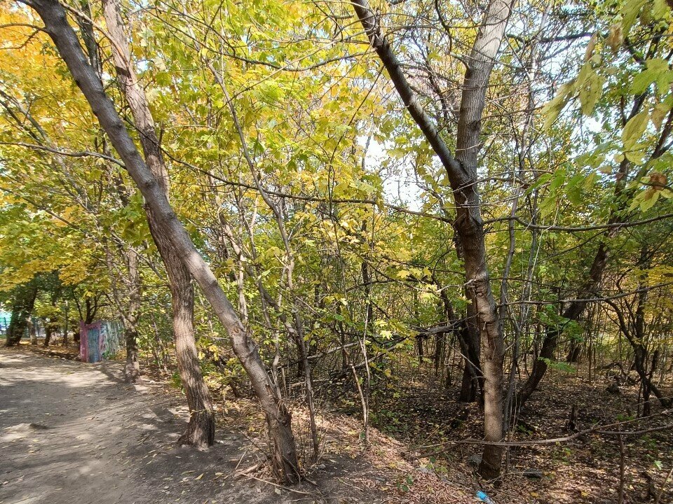 Meydan Сквер Здоровья, Voronej, foto