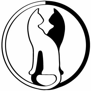 Dans okulları Черная кошка, Белый кот, Saint‑Petersburg, foto