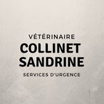 Collinet Sandrine (Liège, Amay, Rue du Tambour, 18), veteriner klinikleri  Liege İli'nden