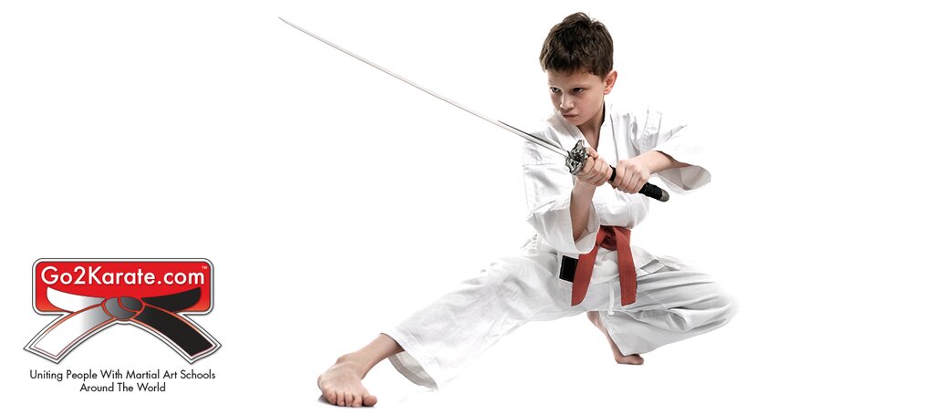Spor ve eğlence merkezi Go2Karate, Virginia, foto