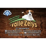 Mondo Animale Pet Shop (Abruzzo, Pescara, Francavilla al Mare), petshop