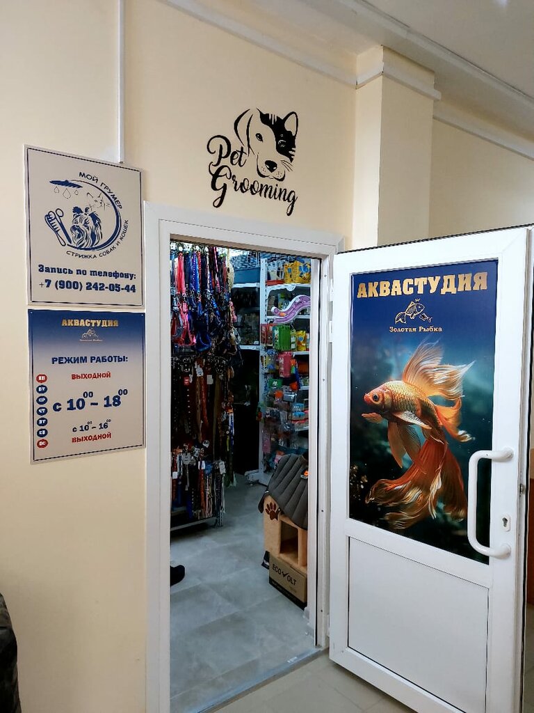 Petshop Золотая рыбка, Krasnodarski krayı, foto