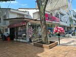 Floristería Amor Cali (Valle del Cauca, Municipio de Santiago de Cali, Comuna 19, Los Fundadores, Carrera 55, 9-04), çiçekçiler  Cali'den