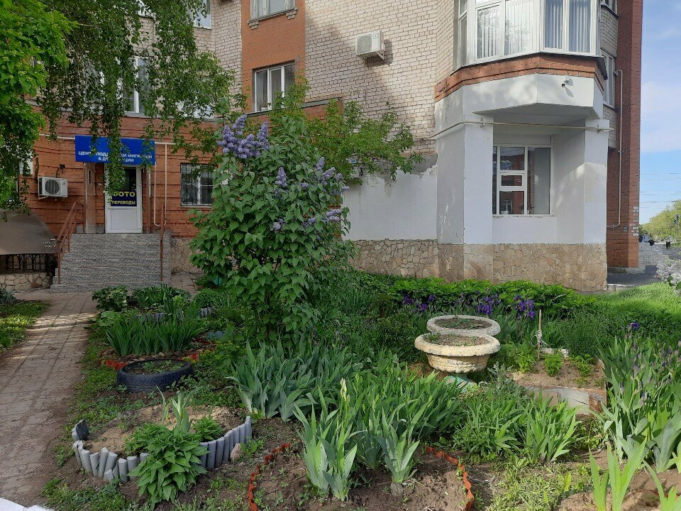 Göçmen büroları Центр поддержки миграции, Orenburg, foto