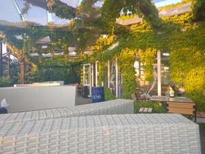 Ракушка (Sevastopol, Haharinskyi raion, Lyotchiki Microdistrict), kafe  Sevastopol'dan