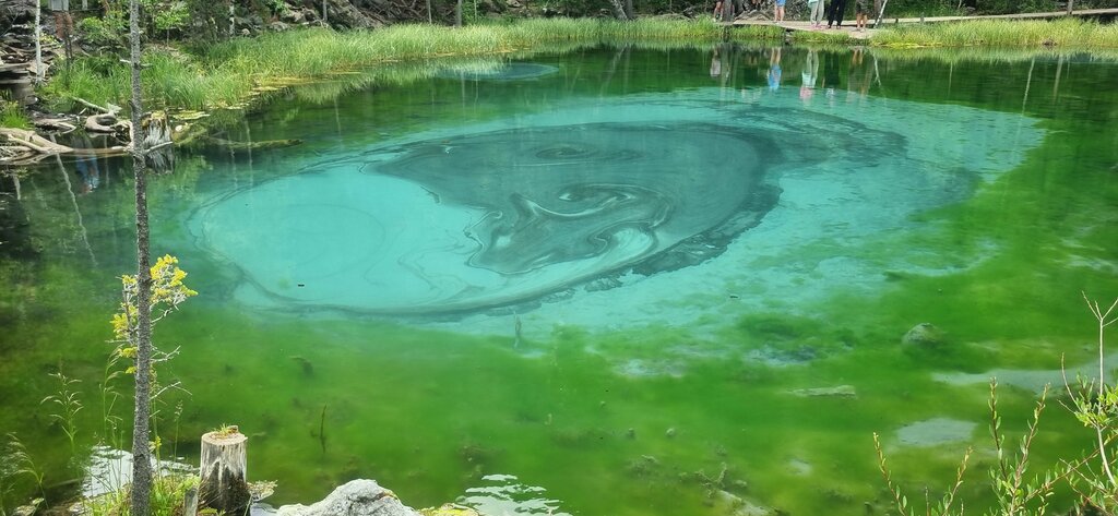 Konuk evi У Осокиных, Altay Cumhuriyeti, foto