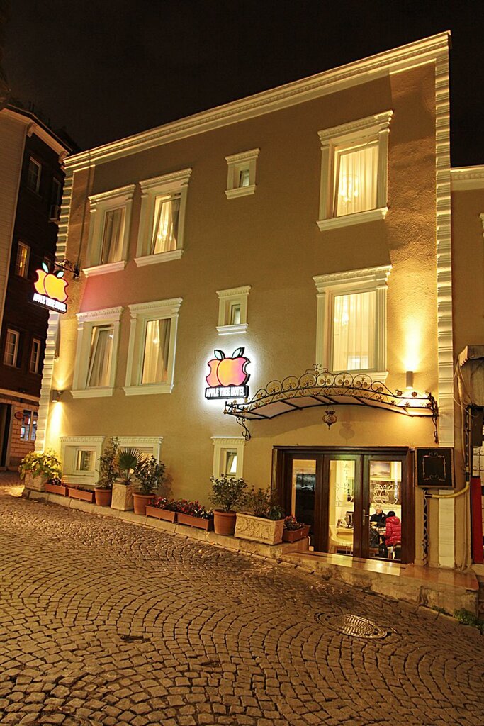 Otel Hotel Apple Tree, İstanbul, foto