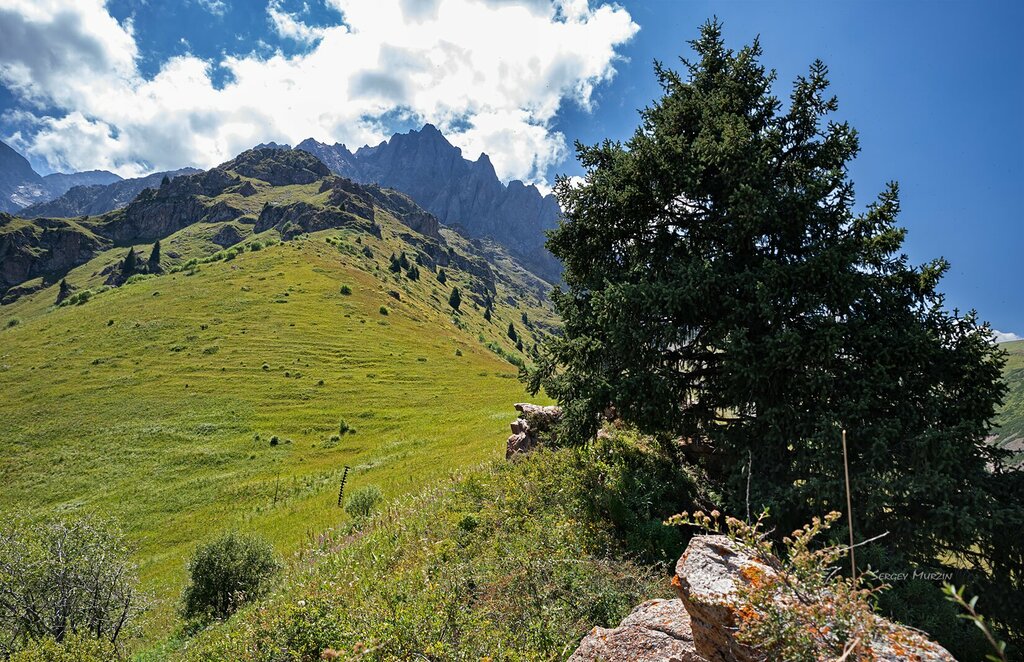 Dağ geçidi Talgar Small Pass 2760 m, Almatı eyaleti, foto