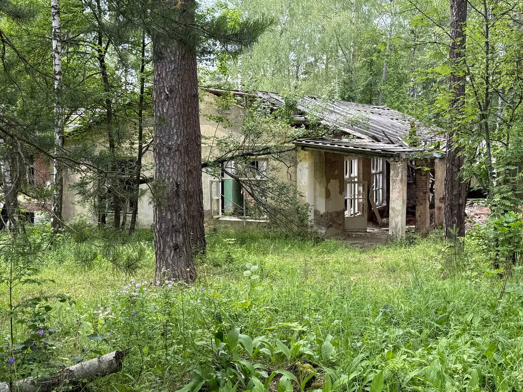 Yaz kampı Ленинец, Moskova ve Moskovskaya oblastı, foto