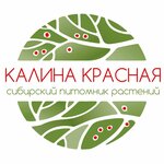 Kalina Krasnaya (Novosibirskiy District, Tolmachyovskiy selsovet), sera ve bahçe ürünleri  Novosibirskaya oblastından
