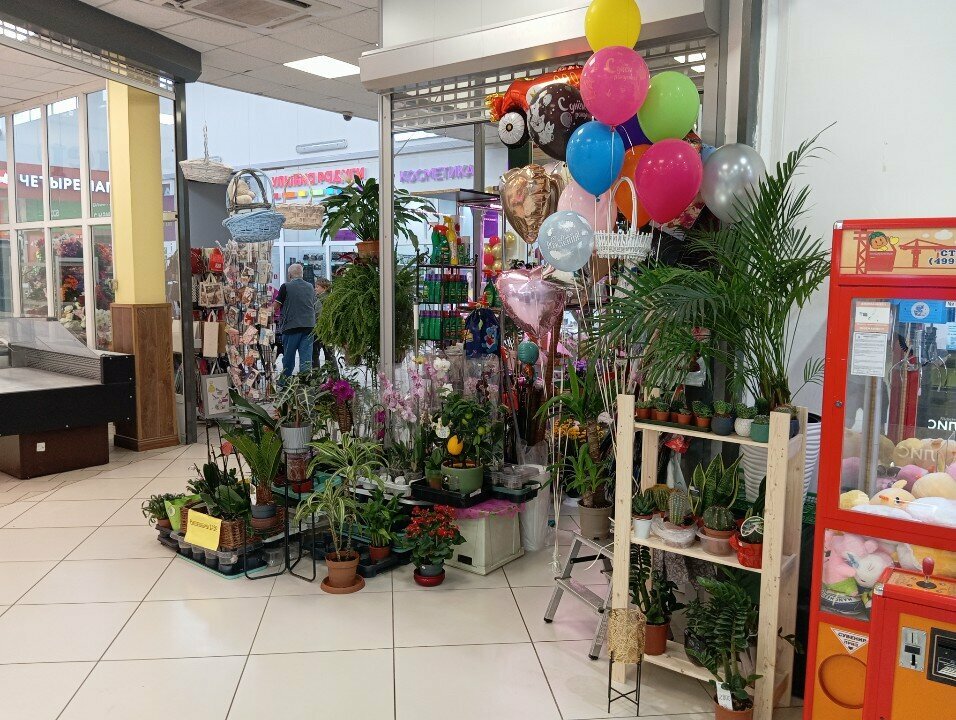 Çiçekçiler TsVETY, Moskova, foto