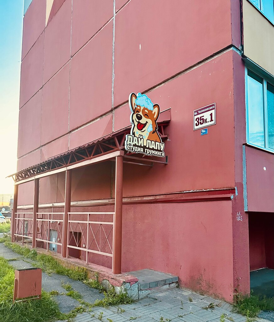 Evcil hayvan kuaförleri Дай лапу, Vitebsk, foto