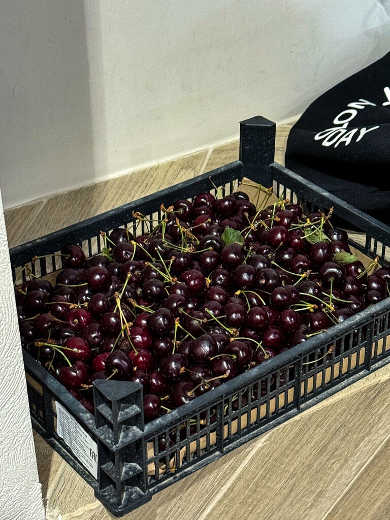 Manavlar Грядка, Novokuznetsk, foto