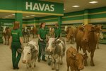 Havas (Bagbog street No:1Б), süpermarket  Taşkent'ten