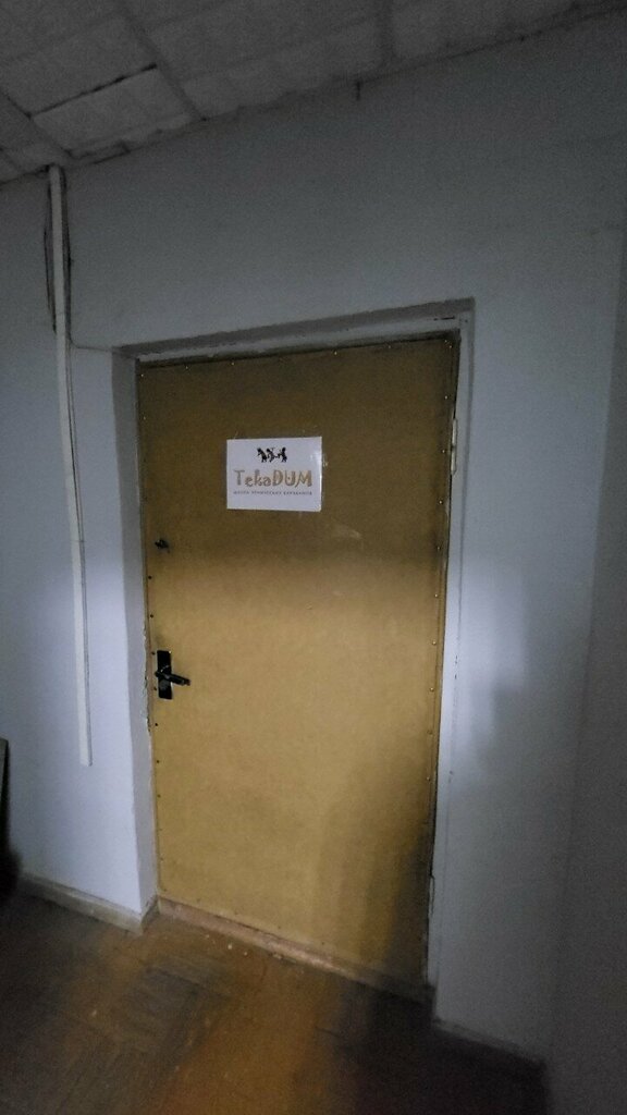 Müzik okulları ve konservatuarlar Школа этнобарабанов TekaDUM, Minsk, foto