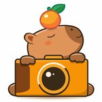 Copybarra (Avgustovskaya ulitsa No:14/1), fotoğraf hizmetleri  Aprelevka'dan