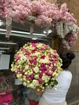 Ilona Flowers (Tigran Mets Avenue No:74, Yerevan), çiçek teslimatı  Erivan'dan