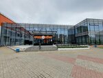 Stella (Molokova Street No:6), spor kulüpleri  Krasnoyarsk'tan
