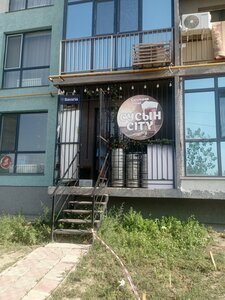 Susyn city (Altyn Orda kóshesi No:6/66), bira dükkanı  Almatı'dan