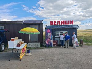 Беляшная (Chelyabinsk Region, Agapovskiy rayon, Yangelskoye selskoye poseleniye), fast food