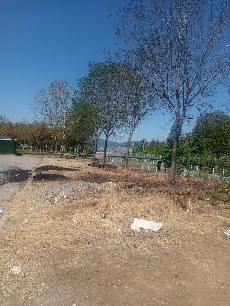 Kültür ve eğlence parkları Denizevler Sahil Parkı, Gölcük, foto