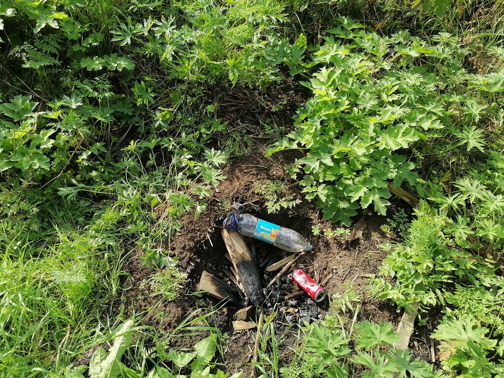 Piknik alanı Место для пикника, Arhangelskaya oblastı, foto