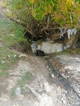 Чаган-узунский источник (Republic of Altai, Kosh-Agachskiy rayon, R-256 Chuyskiy trakt, 866-y kilometr), pınar, çay  Altay Cumhuriyeti'nden