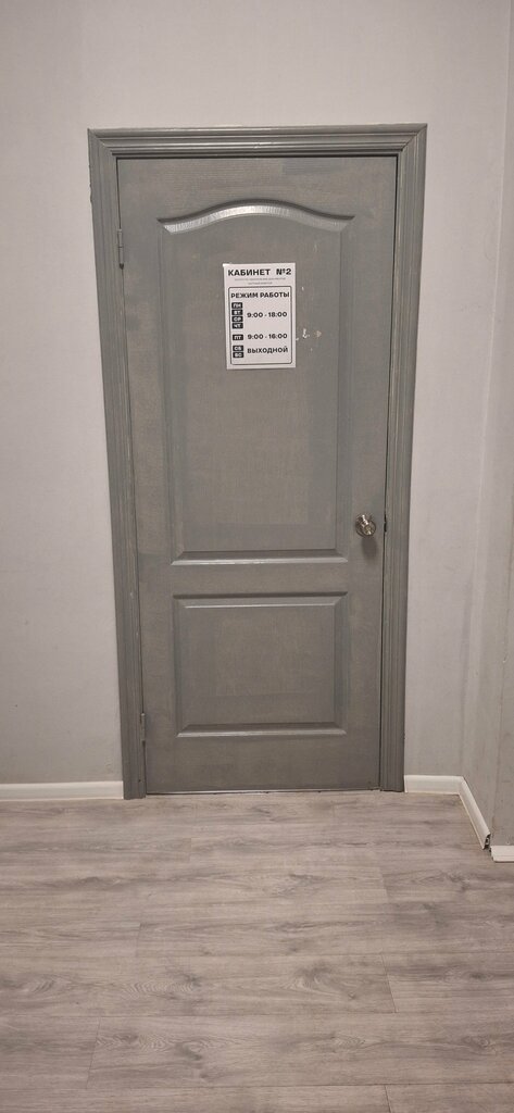Pasaport ve vize işlemleri Помощь в оформлении виз и загранпаспортов, Elektrostal, foto