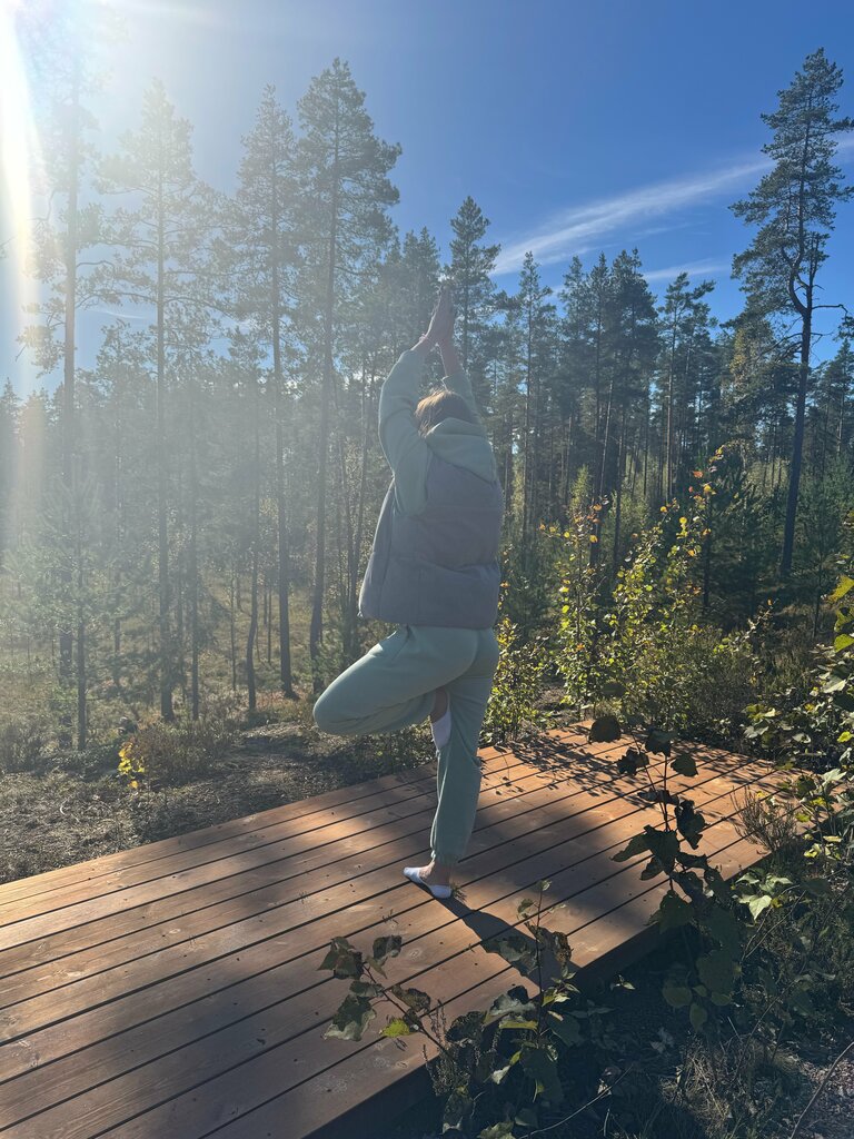 Seyir terası Панорама Оленьего парка, Saint‑Petersburg ve Leningradskaya oblastı, foto