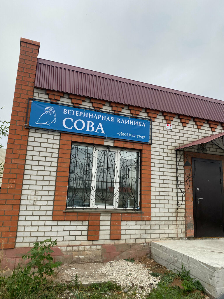 Veteriner klinikleri Сова, Kinel, foto