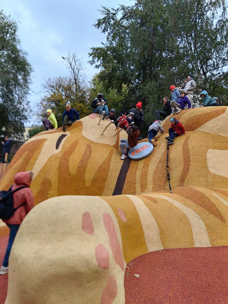 Oyun alanı Кот, Moskova, foto