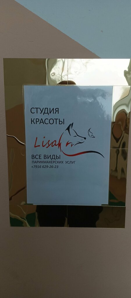 Güzellik salonu Lisa, Friazino, foto