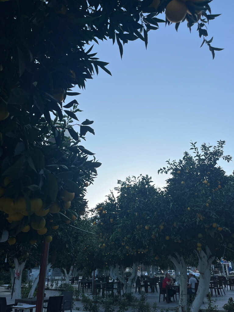 Kafe Kumluca Belediyesi Cafe, Kumluca, foto