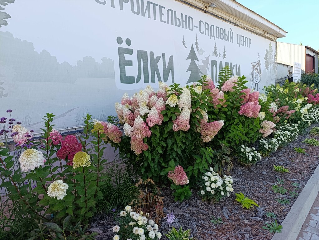 Sera ve bahçe ürünleri Ёлки-Палки, Orenburgskaya oblastı, foto