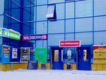 Wildberries (Petrovskogo Street No:27), teslimat noktası  Yakutsk'tan