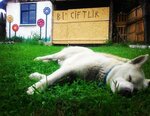 Bi Çiftlik (Merkez Mah., Gölköy Köyü, Bolu, Bolu), bahçecilik dernekleri ve kuruluşları  Bolu'dan