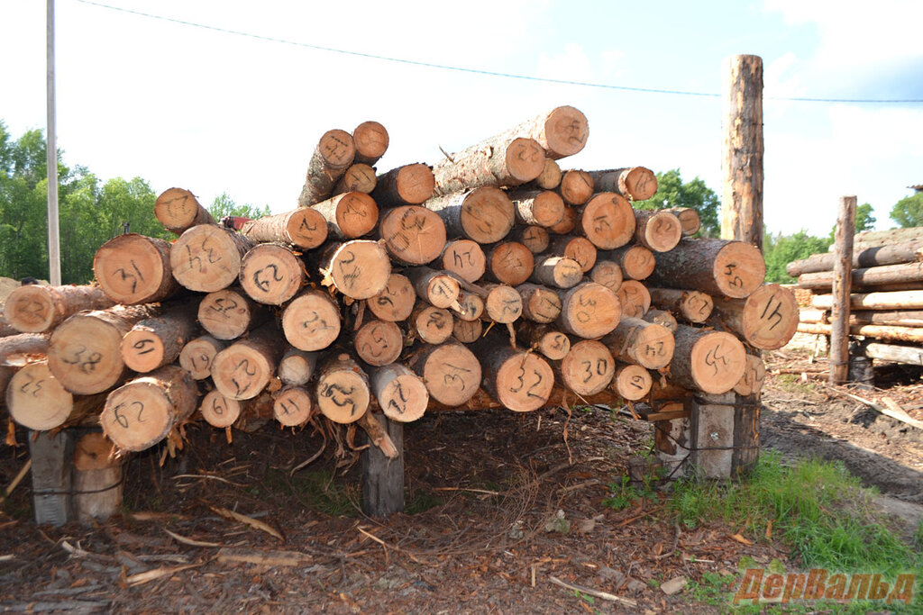 Kereste üretim ve satış şirketleri DerVald, Nijegorodskaya oblastı, foto