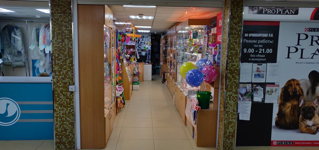 Fotoğraf hizmetleri Sistemnik, Moskova, foto