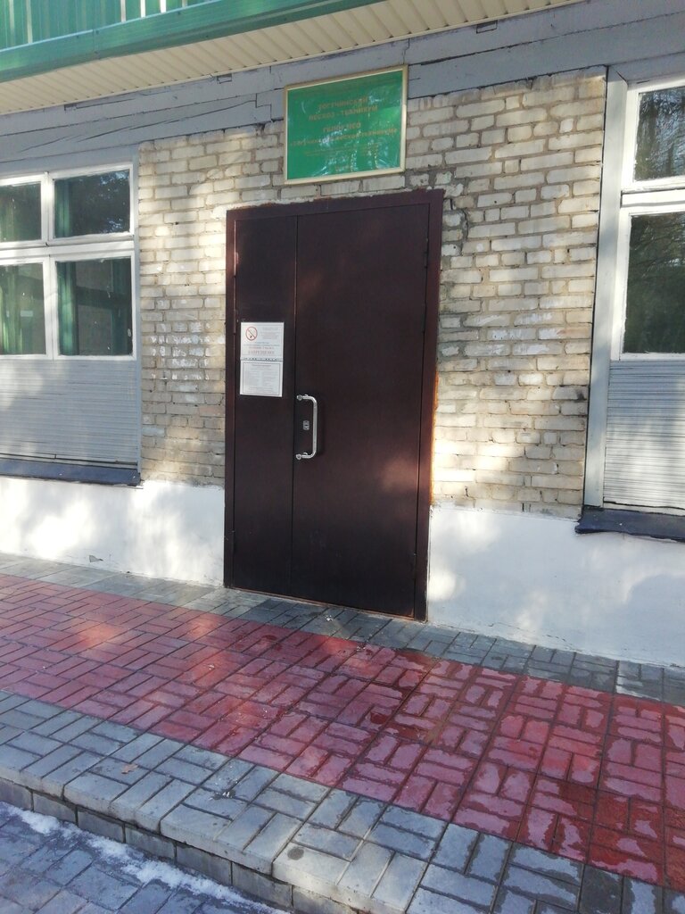 Meslek yüksekokulu Toguchinsky leskhoz-tekhnikum, Toguchin, foto