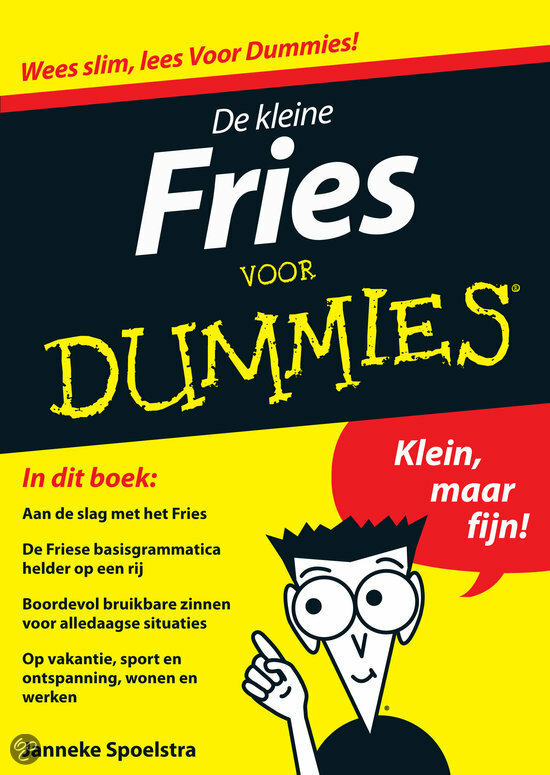 Tercüme büroları Oerset IT, Friesland, foto