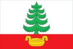 Administratsiya Gorodskogo Poseleniya Pravdinsky Pushkinskogo Munitsipalnogo rayona (Stepankovskoye shosse No:17, Work Settlement of Pravdinskiy), belediyeler, devlet daireleri  Moskova ve Moskovskaya oblastından