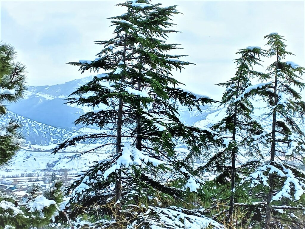 Kısa süreli konaklama Sosnovyij Raj, Sudak, foto