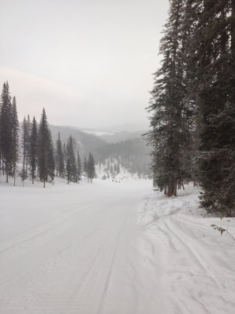 Hızlı ulaşım istasyonu High-speed urban transport station, Altayski krayı, foto