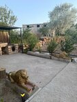 Пикник (No:163, sadovyye uchastki Stroitel), resort oteller, tesisler  Atırav eyaletinden